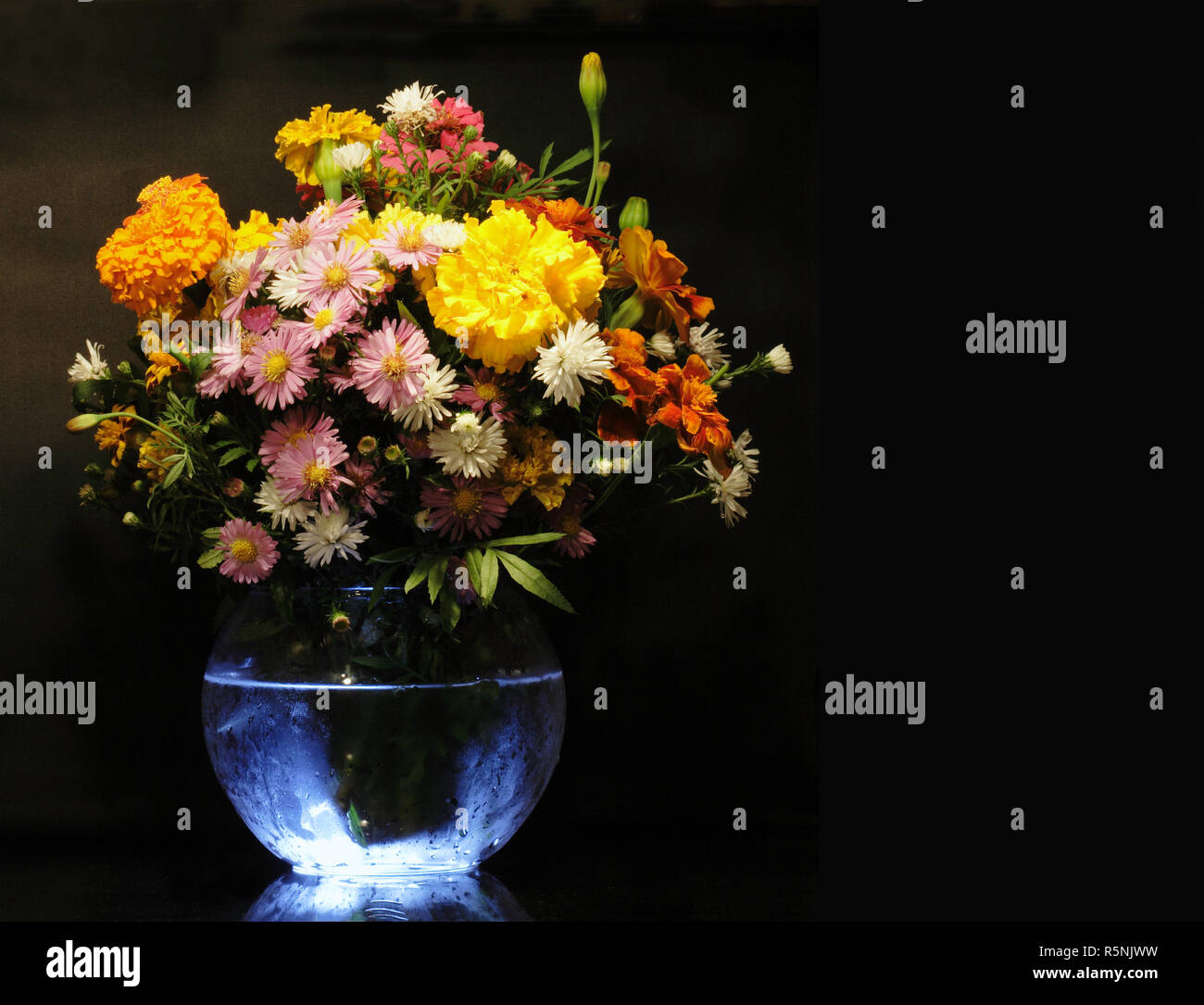 Nice bunch of flowers isolated on dark background with copy space Stock ...