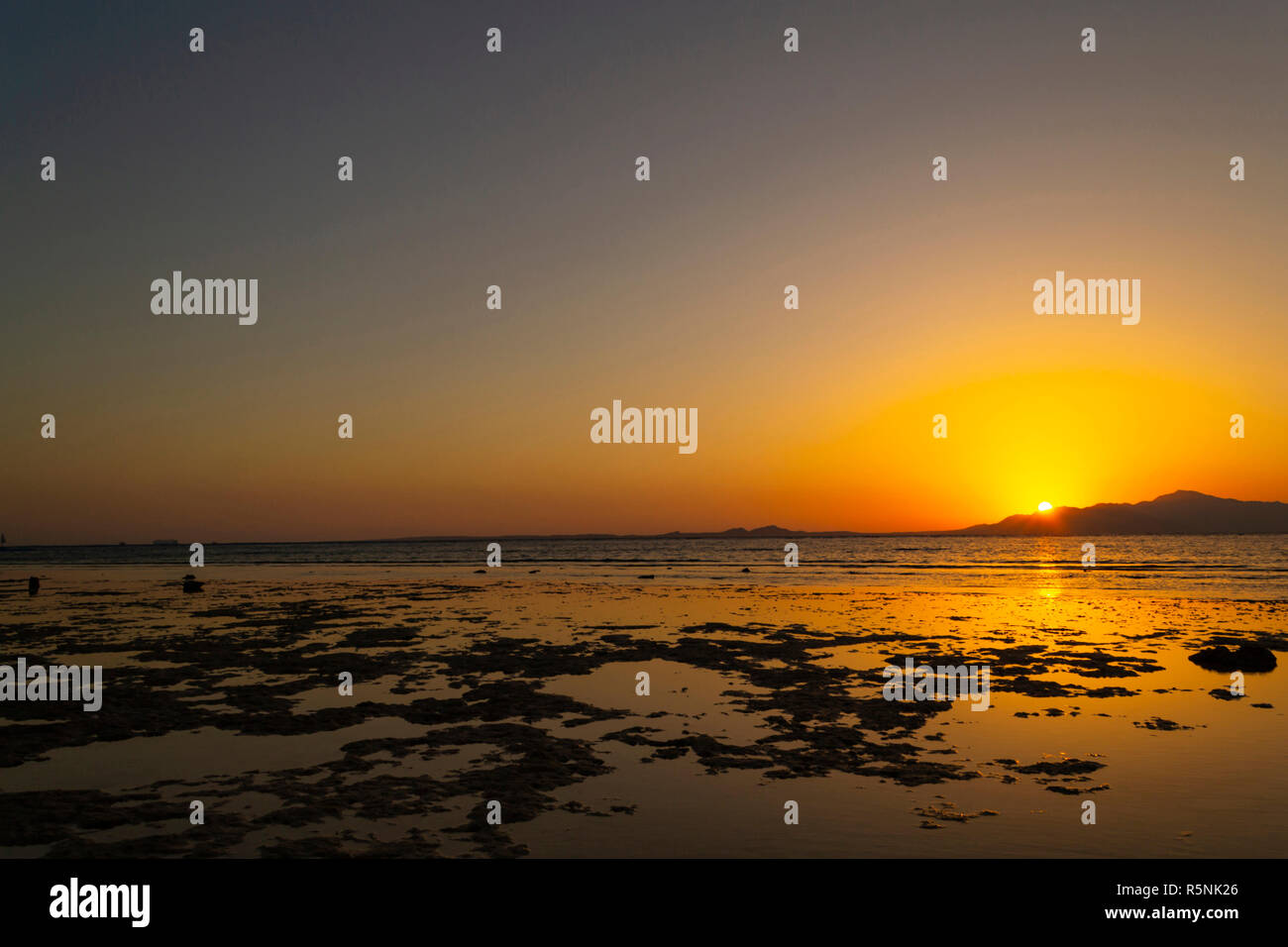 Saudi arabia red sea diving hi-res stock photography and images - Alamy