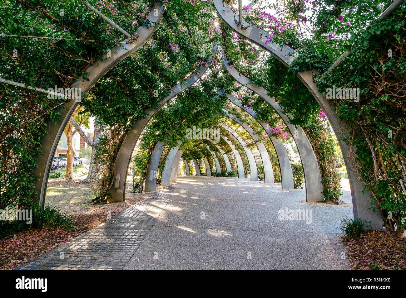 The Arbour, South Bank, Brisbane, Queensland, Australia Stock Photo - Alamy