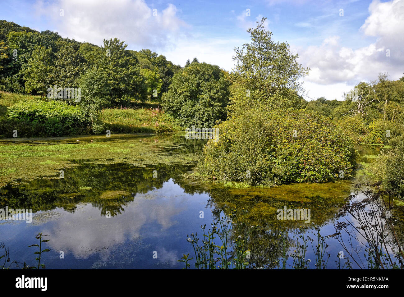 Otterhead Lakes, Blackdown Hills, Otterford, Somerset, England. Area of ...