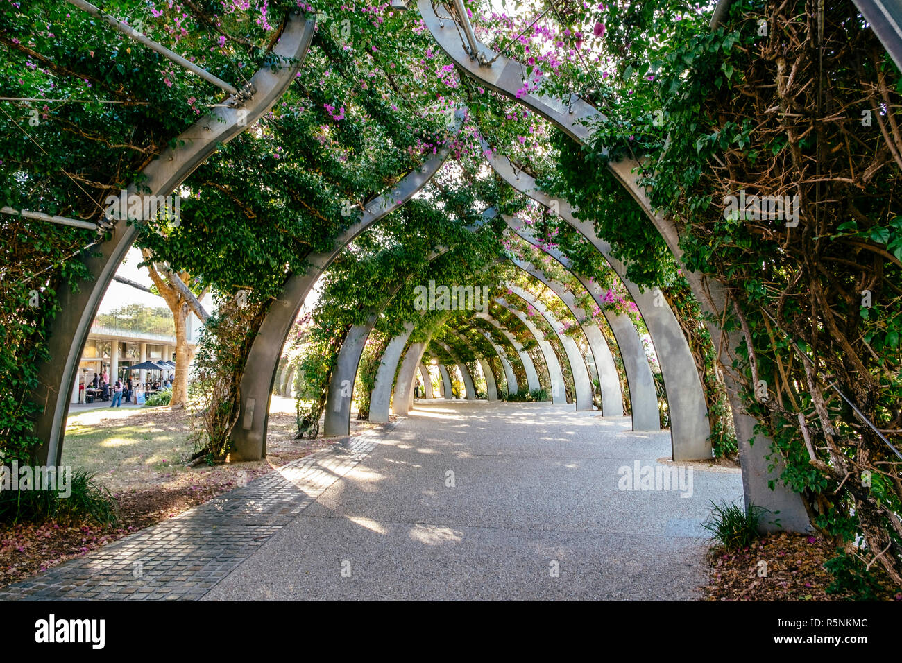 The Arbour, South Bank, Brisbane, Queensland, Australia Stock Photo - Alamy