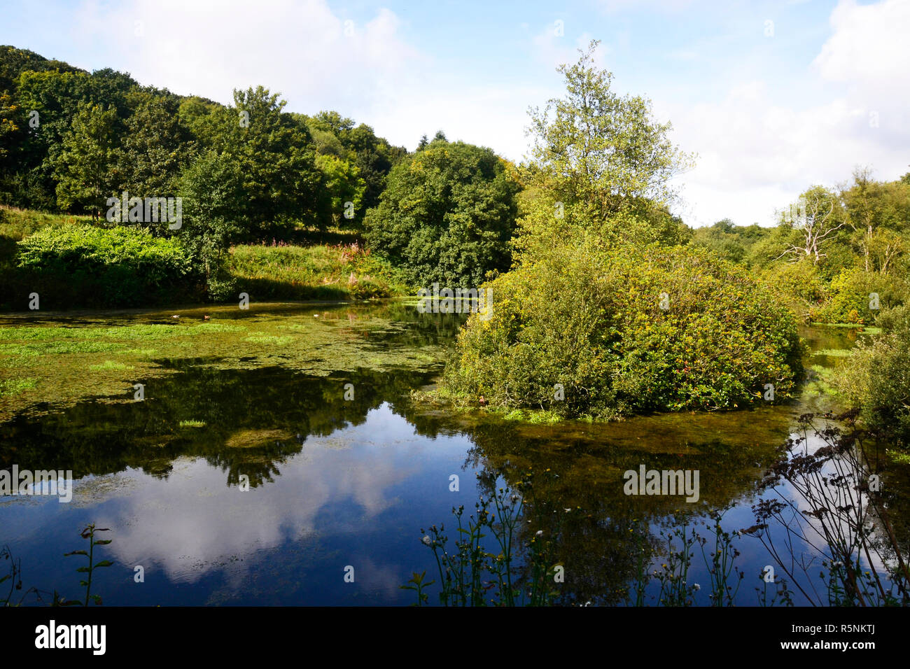 Otterhead Lakes, Blackdown Hills, Otterford, Somerset, England. Area of ...