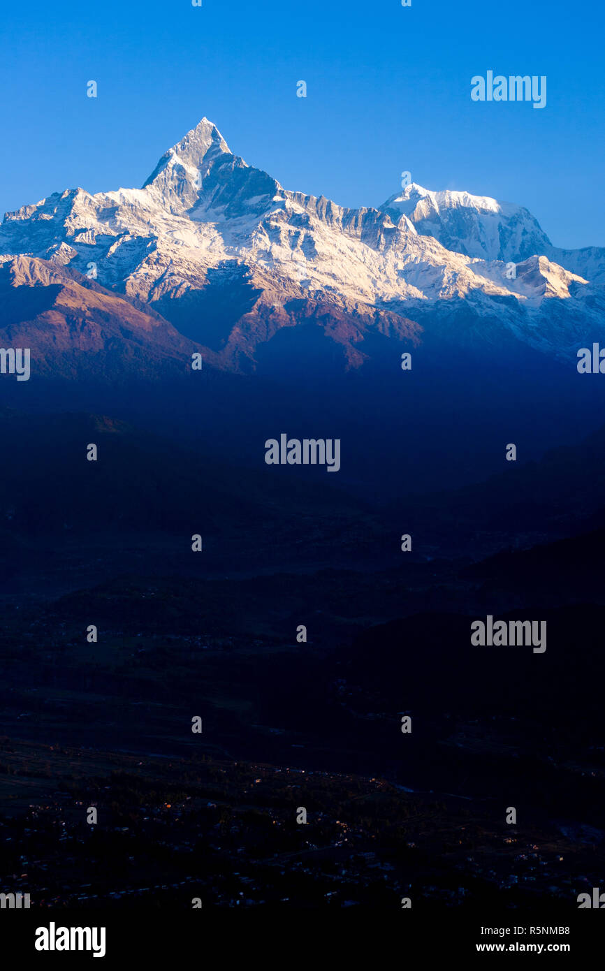 Puchare hi-res stock photography and images - Alamy