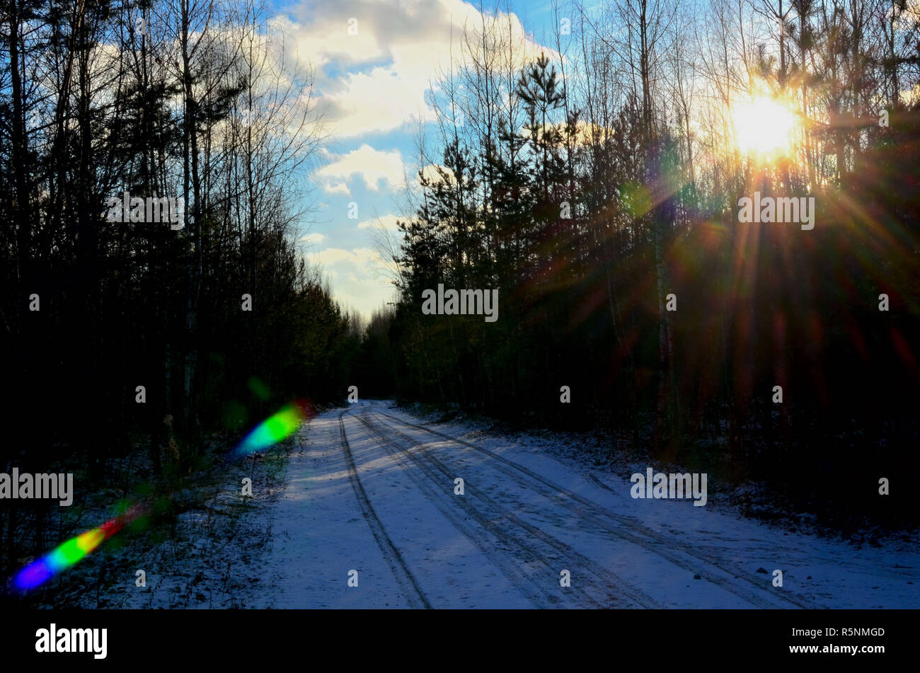 Winter forest road covered with snow in the rays of the bright sun ...