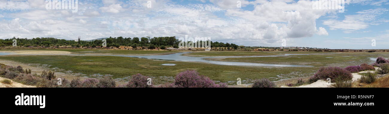 moorland in the ria formosa nature reserve Stock Photo - Alamy