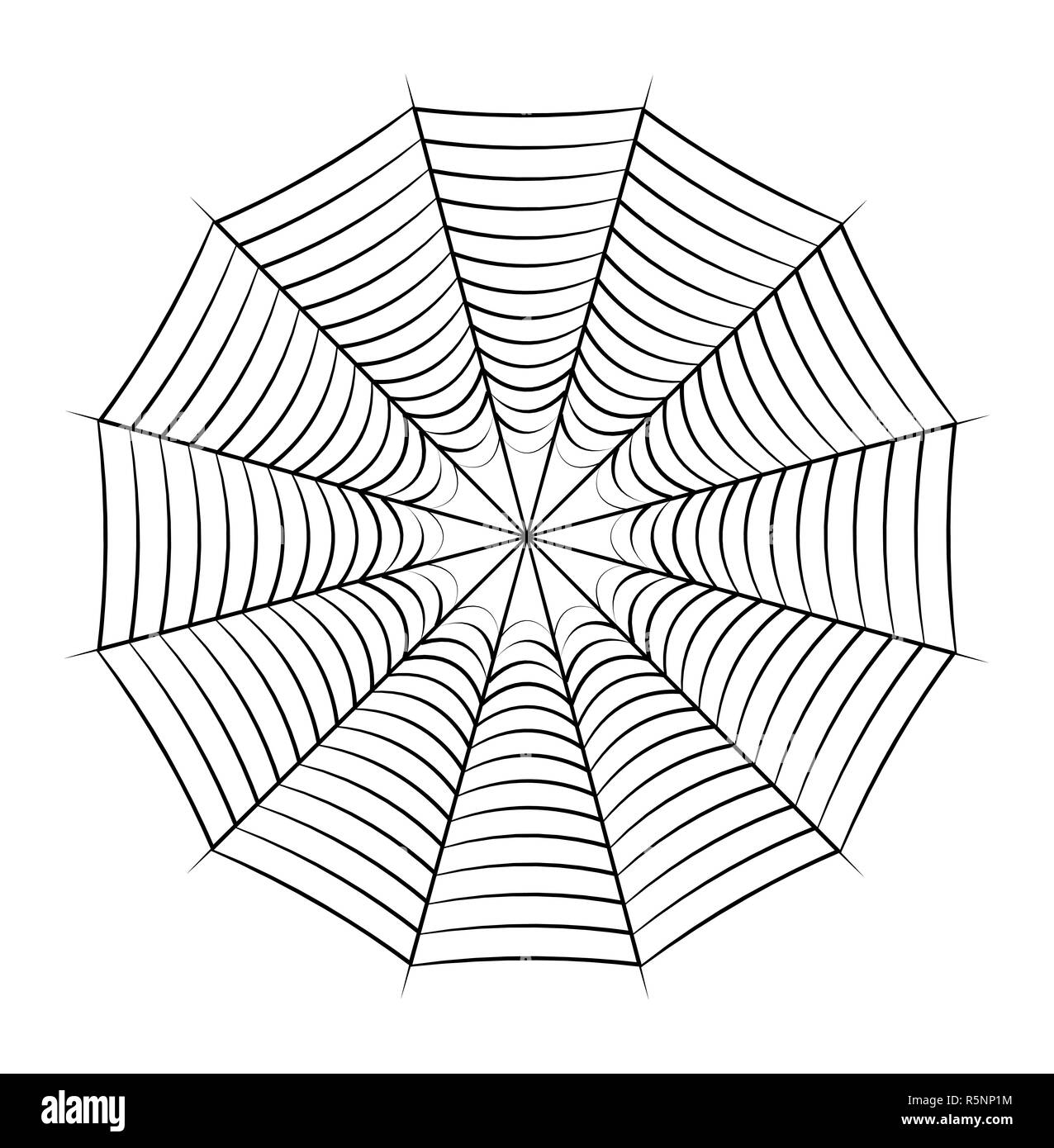spider web vector symbol icon design. Beautiful illustration isolated ...