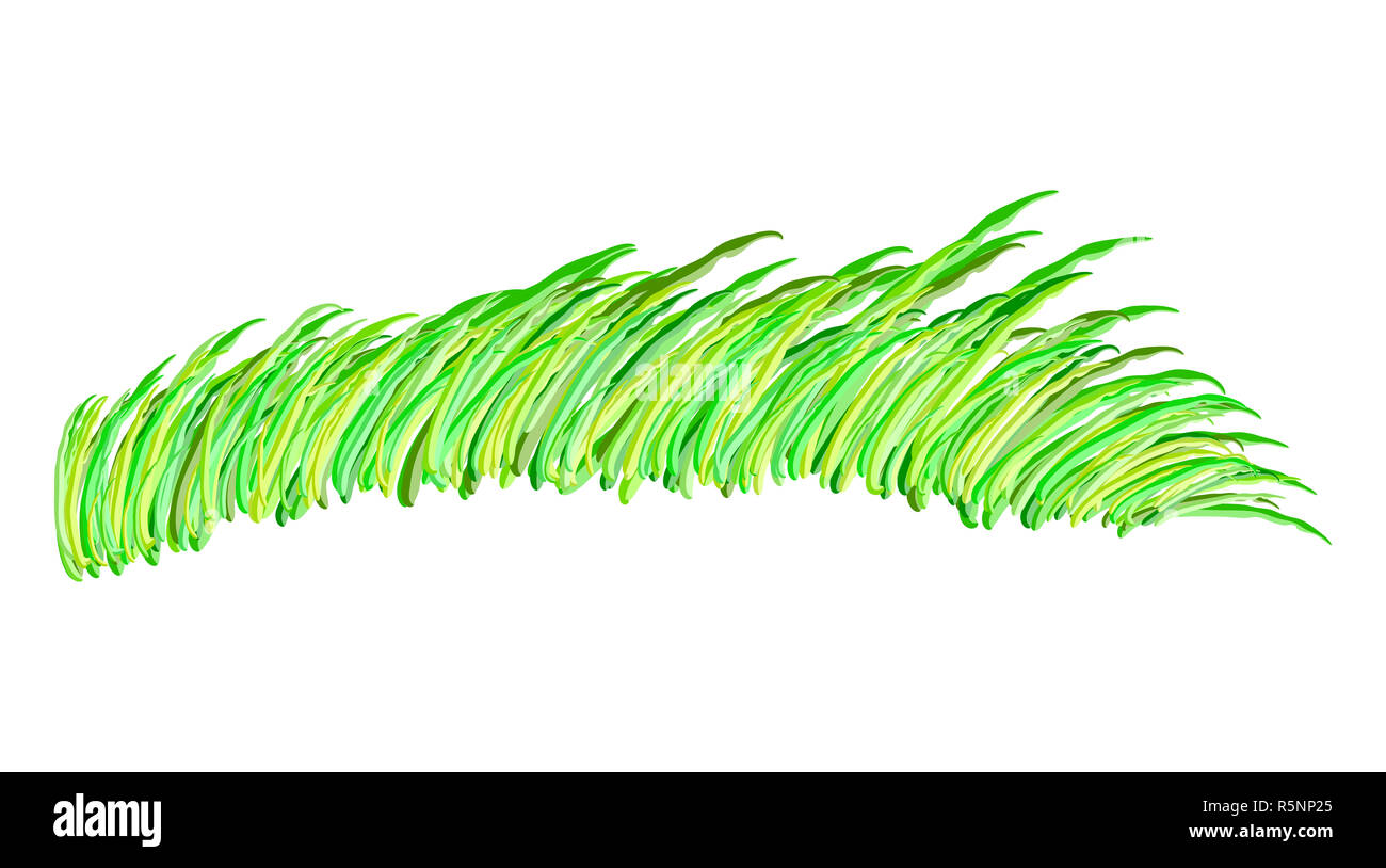 algae vector symbol icon design. Beautiful illustration isolated on ...