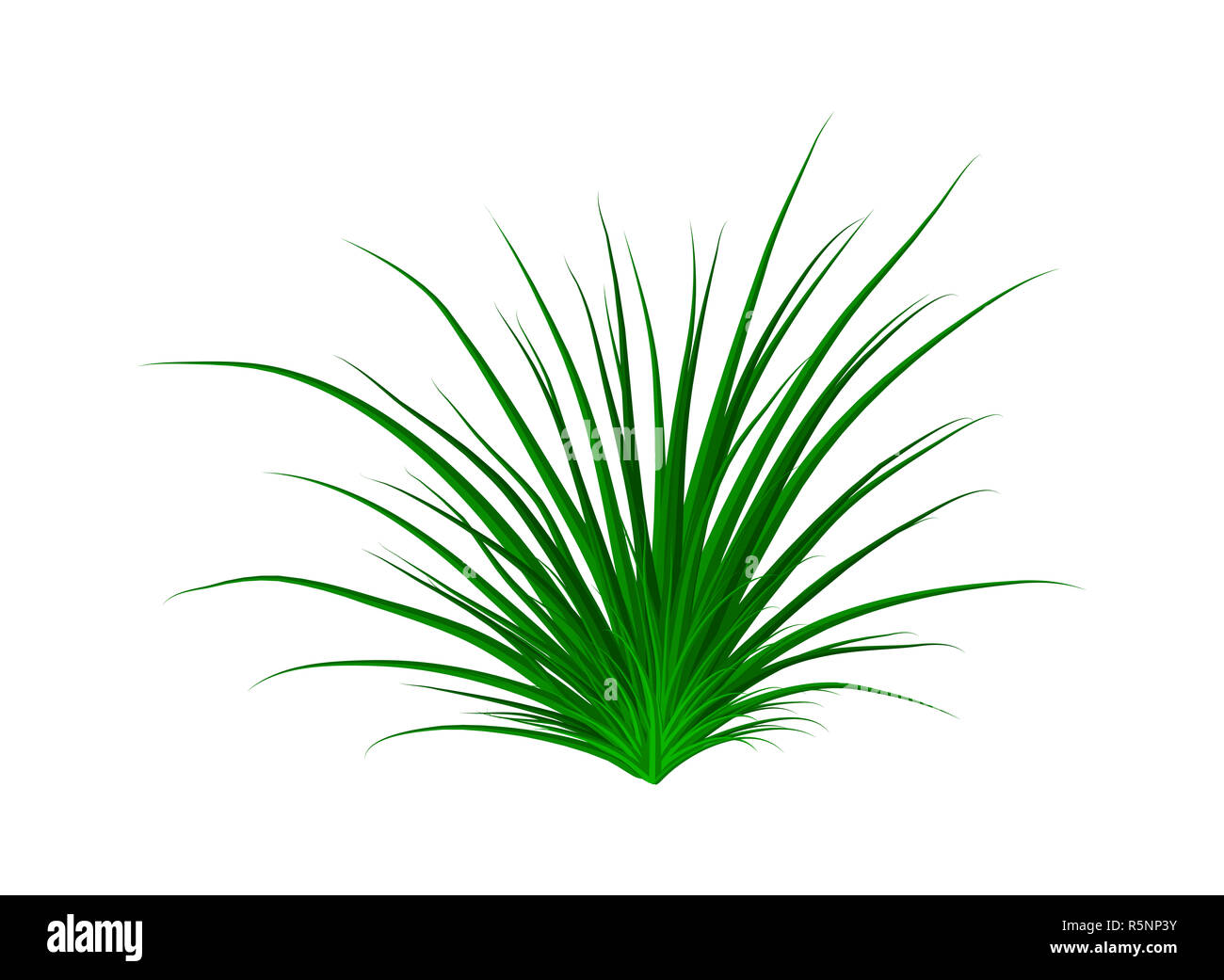grass vector symbol icon design. Beautiful illustration isolated on ...