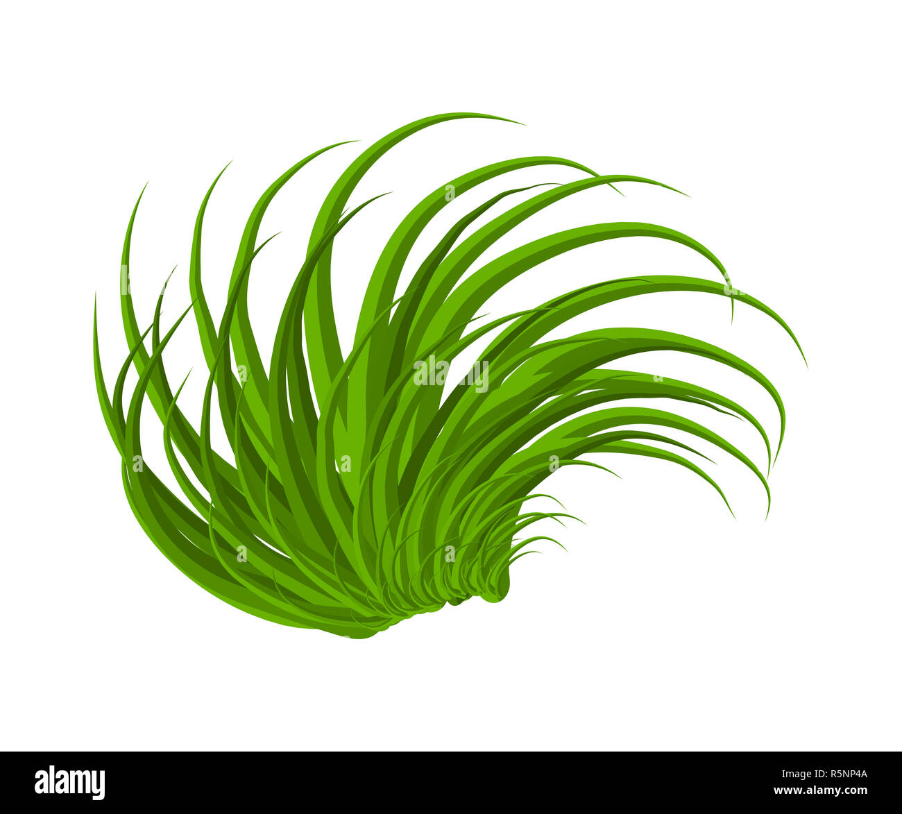 Grass Vector Symbol Icon Design Beautiful Illustration Isolated On