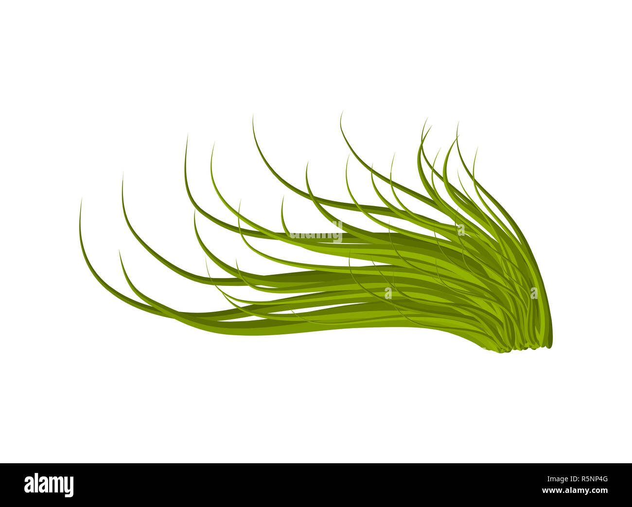 grass vector symbol icon design. Beautiful illustration isolated on ...