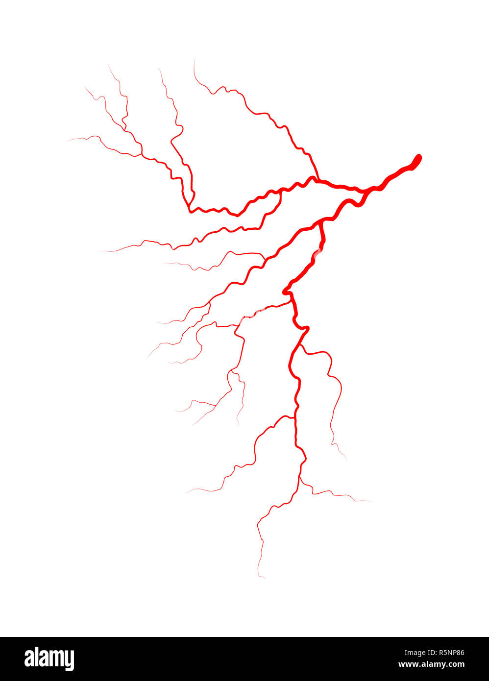 vein blood system vector symbol icon design. Beautiful illustration ...