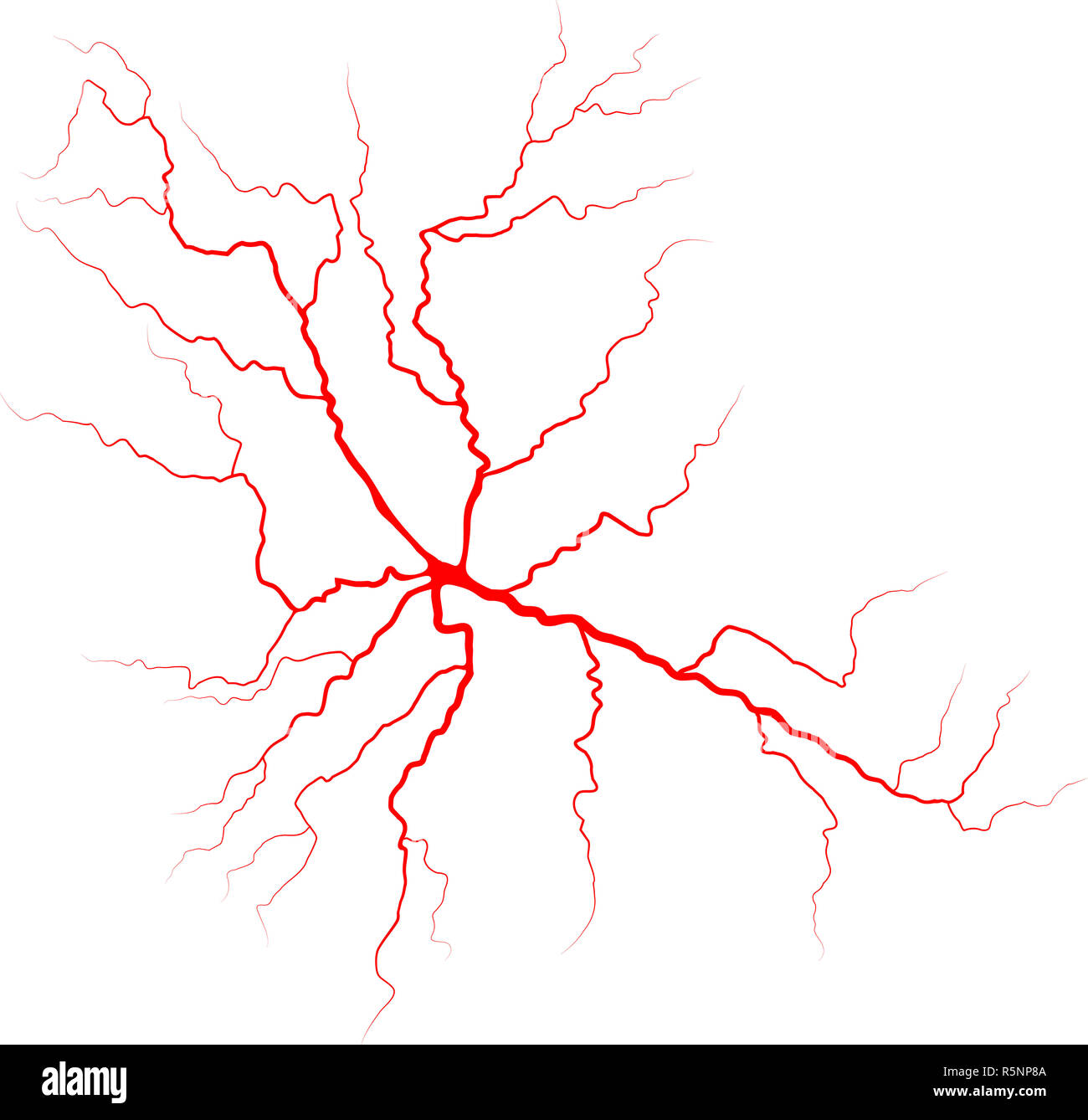 vein blood system vector symbol icon design. Beautiful illustration ...