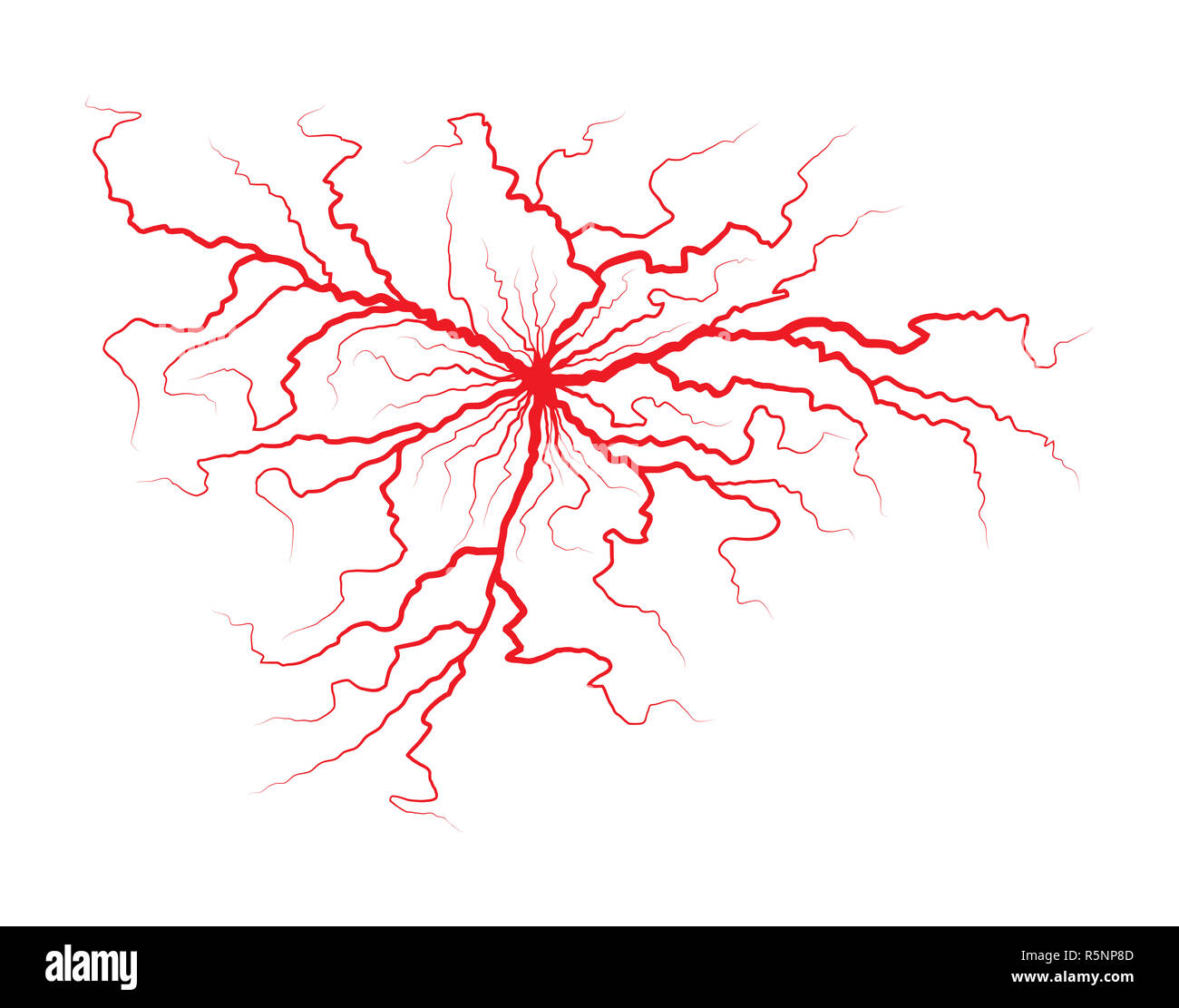 vein blood system vector symbol icon design. Beautiful illustration ...