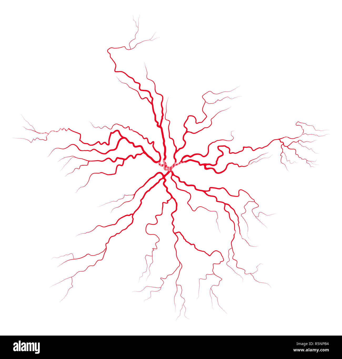vein blood system vector symbol icon design. Beautiful illustration ...
