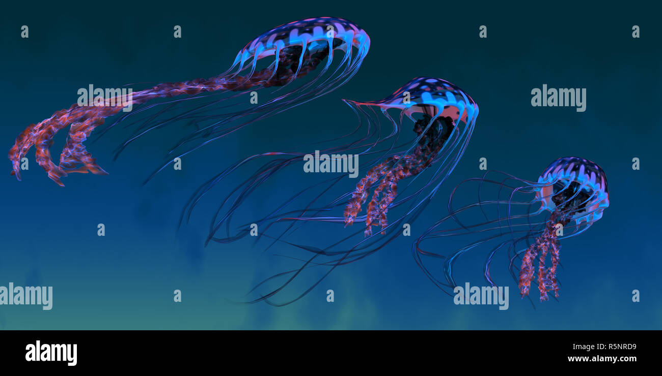 Iridescent jellyfish hi-res stock photography and images - Alamy