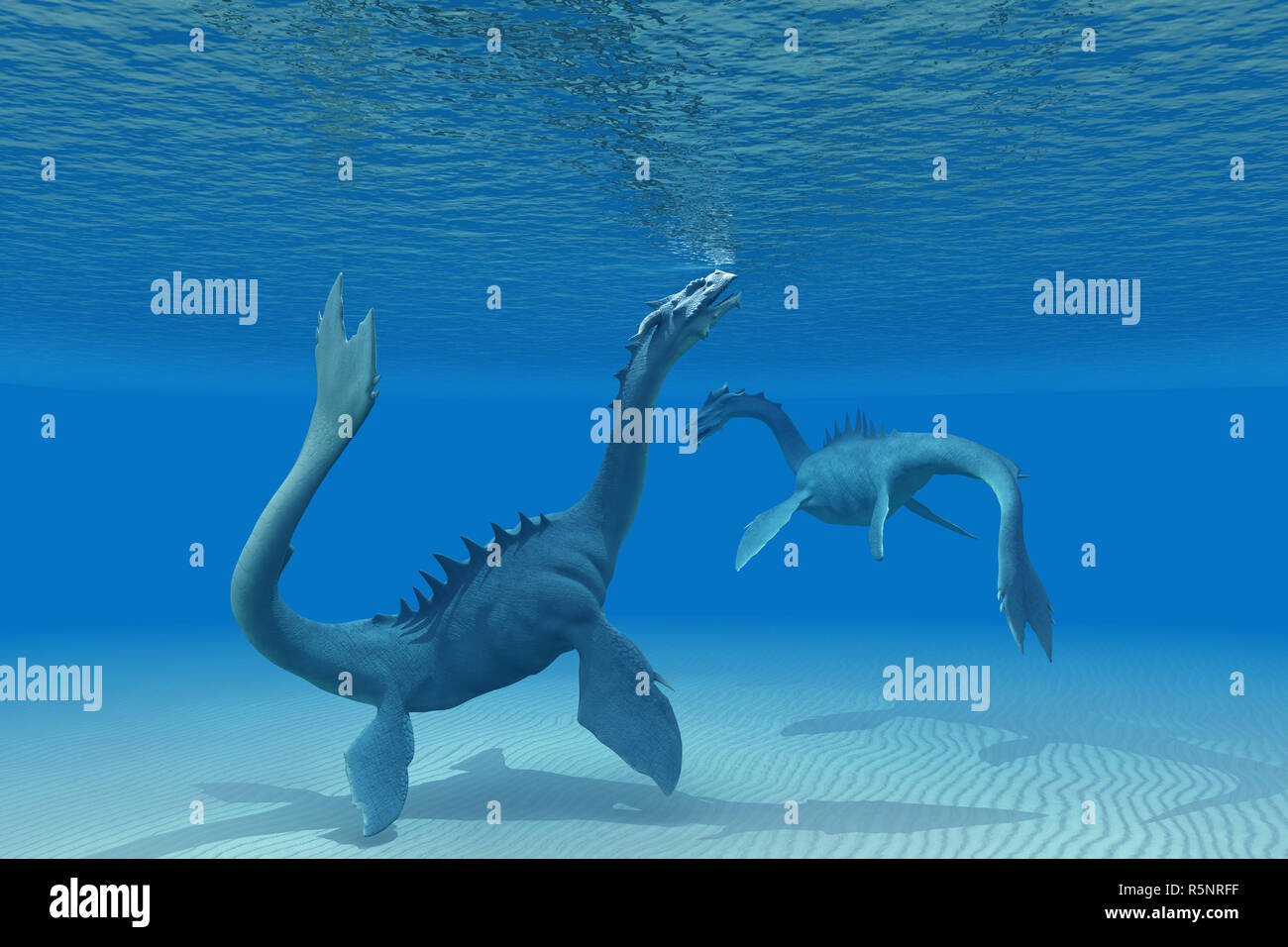 Two sea dragons hi-res stock photography and images - Alamy
