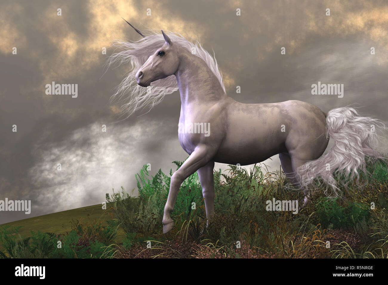 Male unicorn hi-res stock photography and images - Alamy