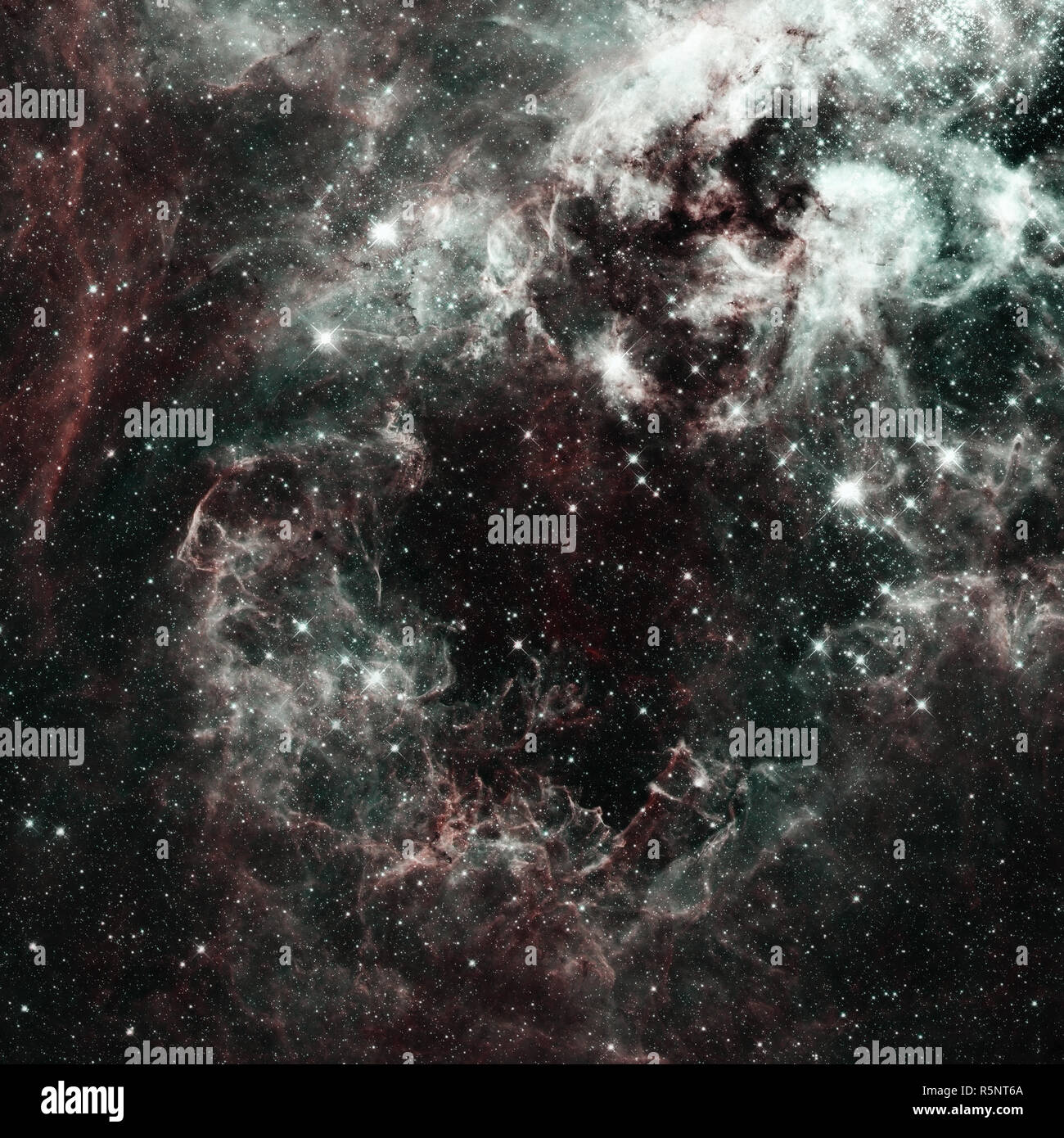 The Tarantula Nebula Stock Photo - Alamy