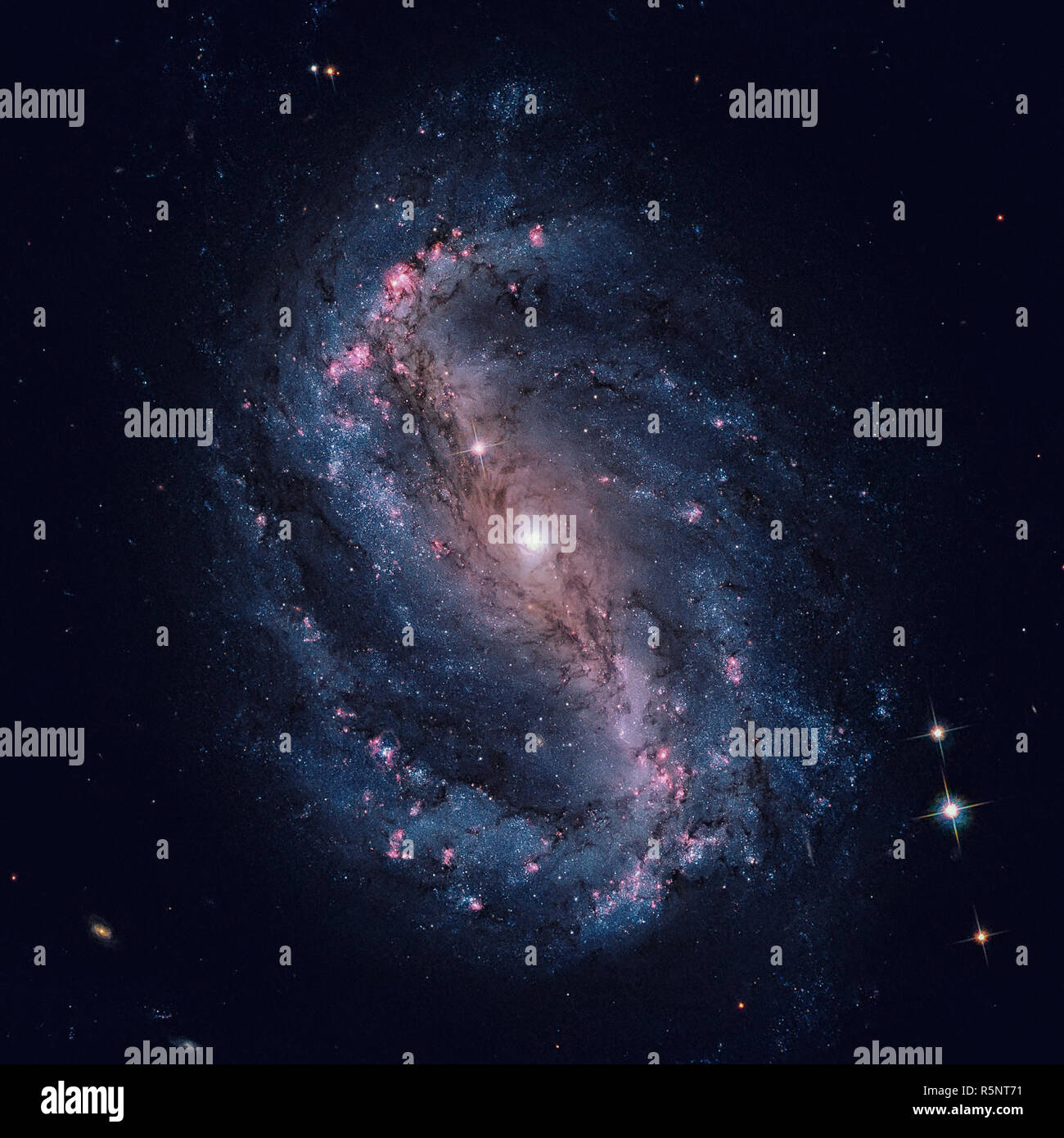 NGC 6217 is a spiral galaxy in the constellation Ursa Minor Stock Photo ...
