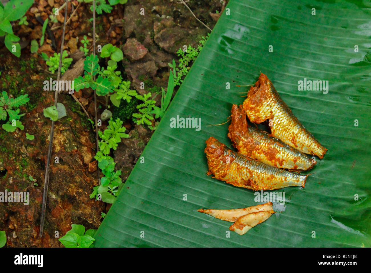 Ready culture hi-res stock photography and images - Alamy