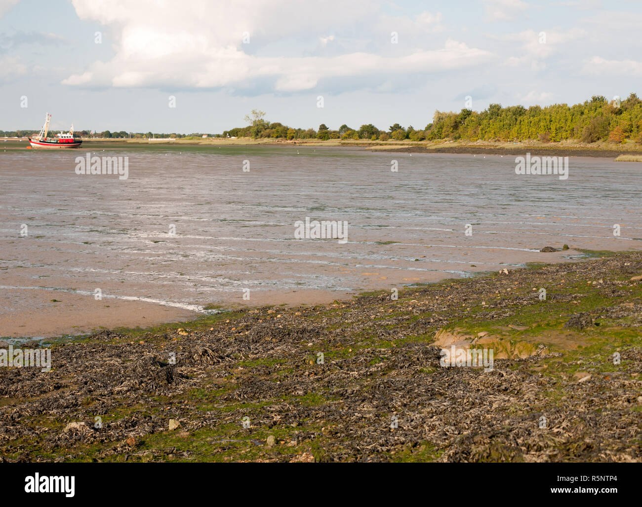Tides out texture hi-res stock photography and images - Alamy