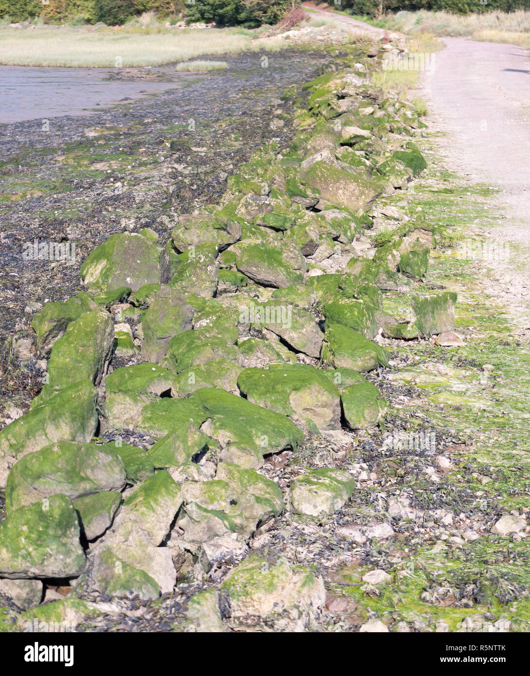 algae covered rocks formation at side of road Stock Photo - Alamy