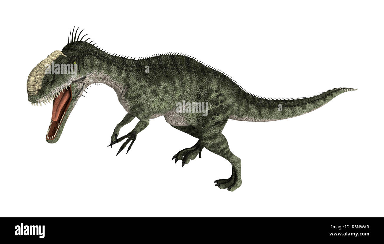 Monolophosaurus hi-res stock photography and images - Alamy