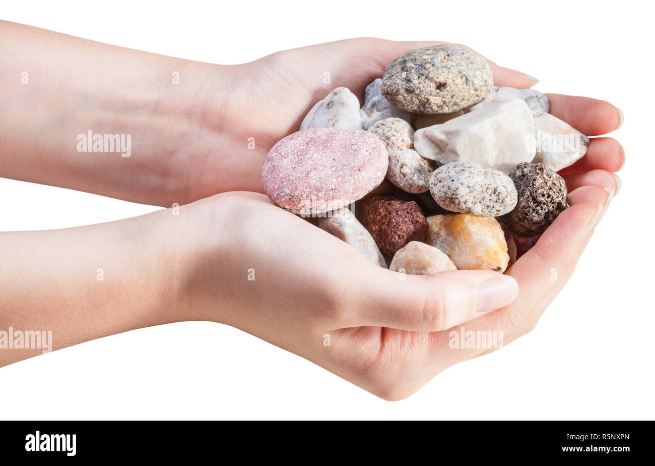 side view of various natural pebbles in handful Stock Photo - Alamy