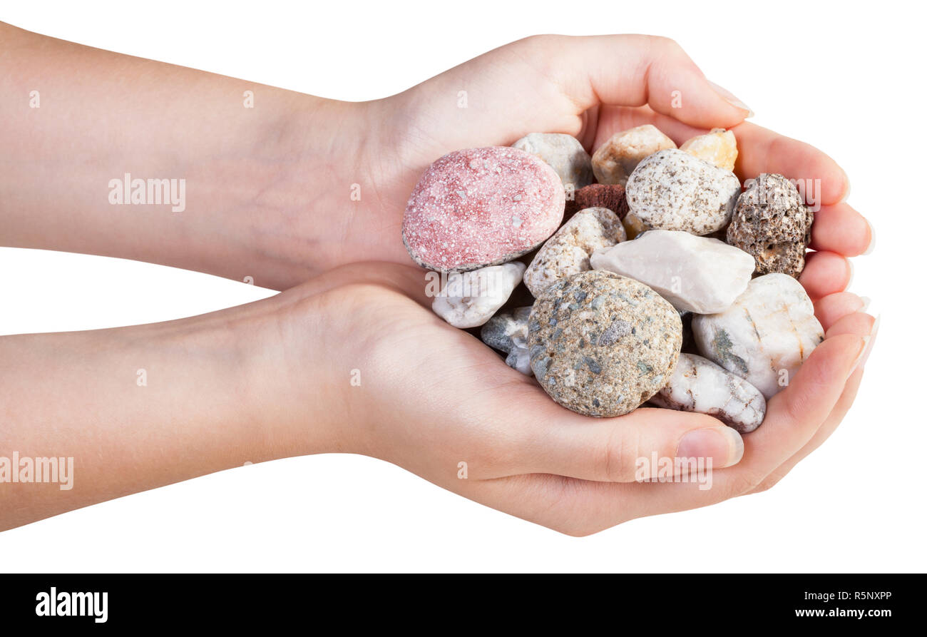 Top view various female Cut Out Stock Images & Pictures - Alamy