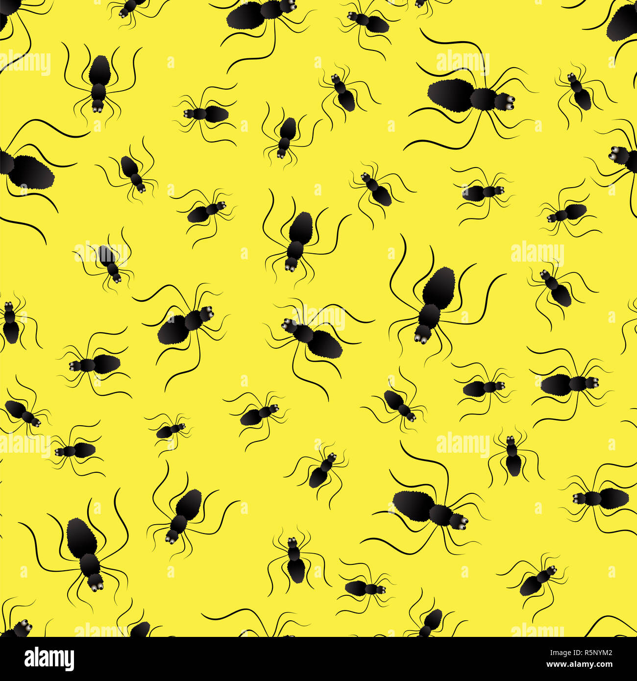 Spider Seamless Pattern Stock Photo - Alamy