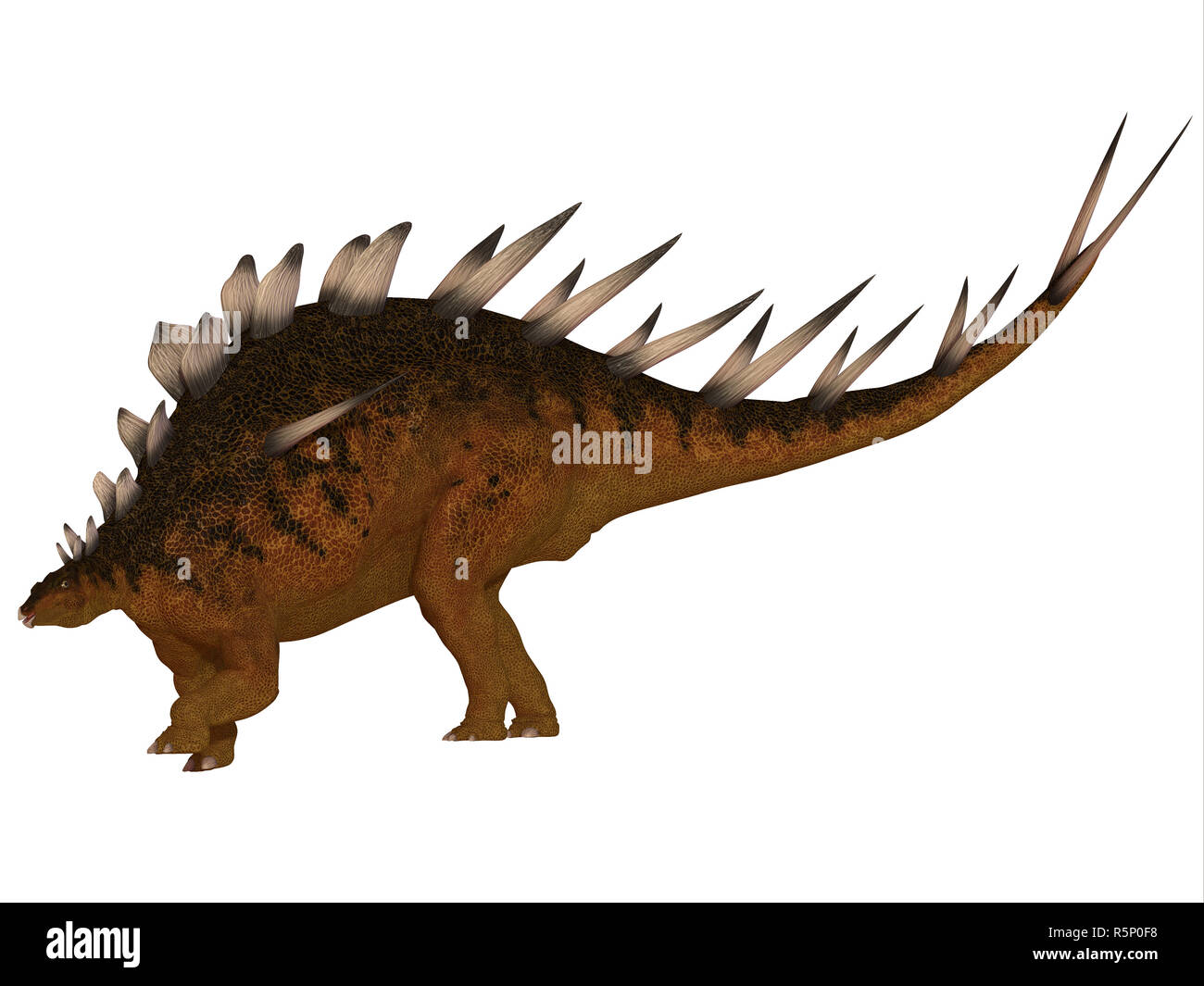 Kentrosaurus Jurassic High Resolution Stock Photography and Images - Alamy
