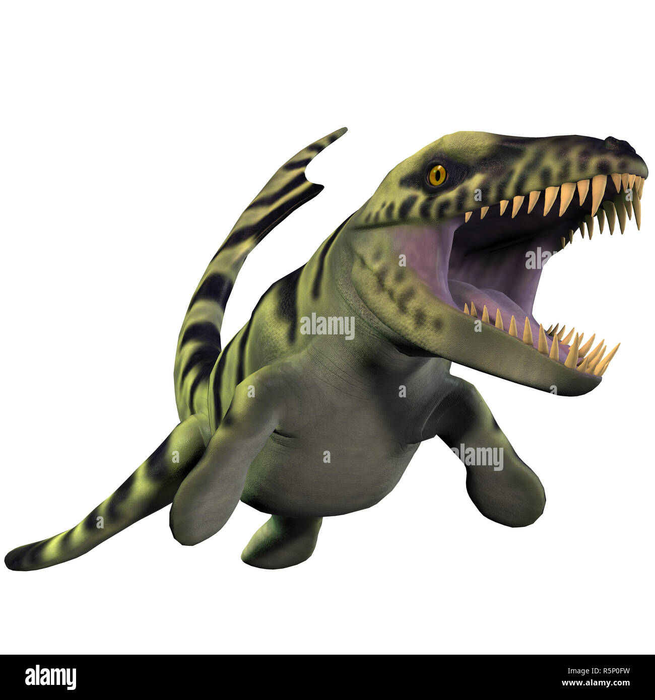 Dakosaurus over White Stock Photo - Alamy