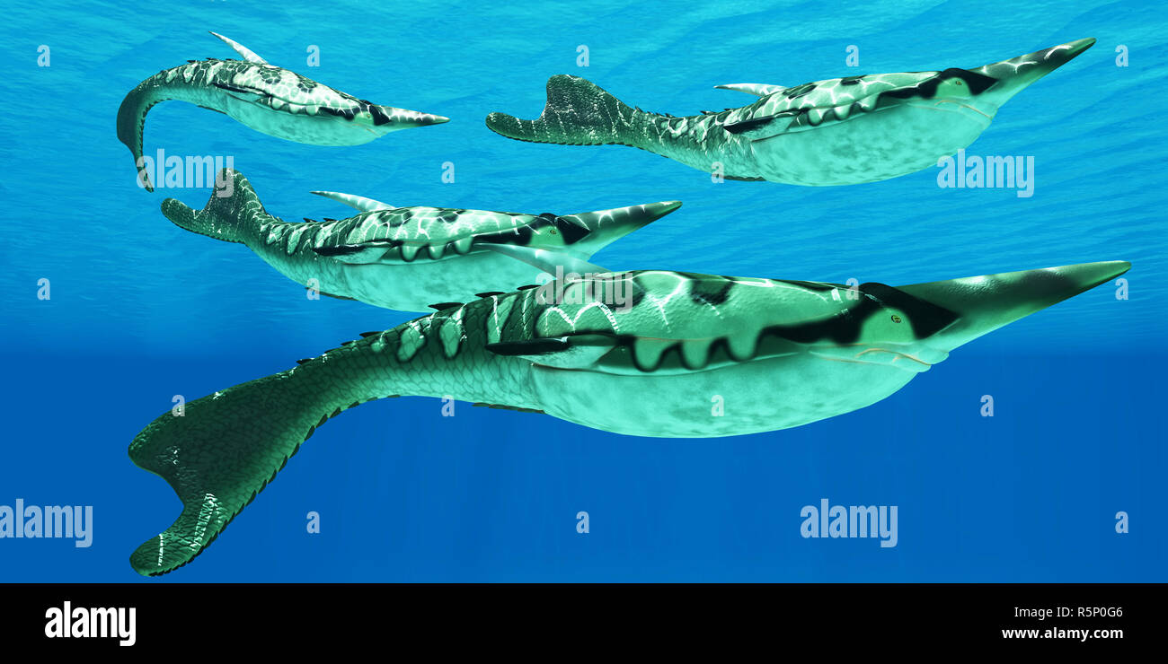 Pteraspis hi-res stock photography and images - Alamy