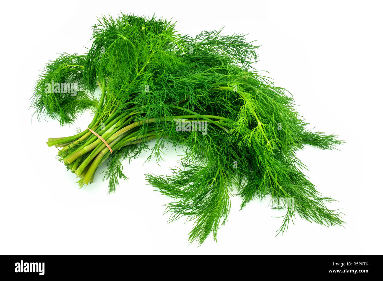 Dille Cut Out Stock Images & Pictures - Alamy