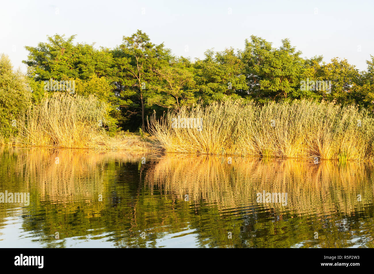 Koros river hi-res stock photography and images - Alamy