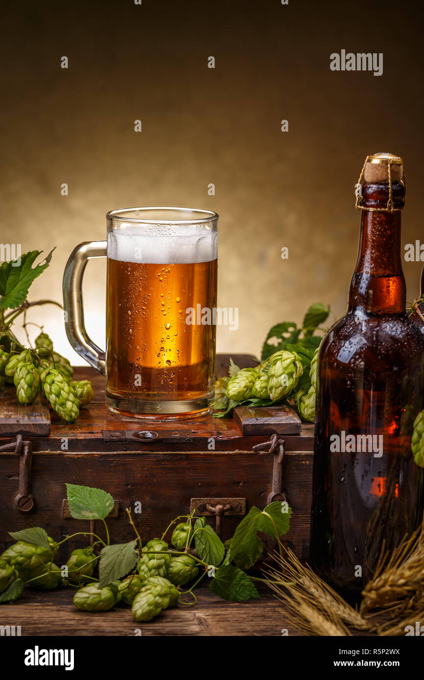 Fresh beer composition Stock Photo - Alamy