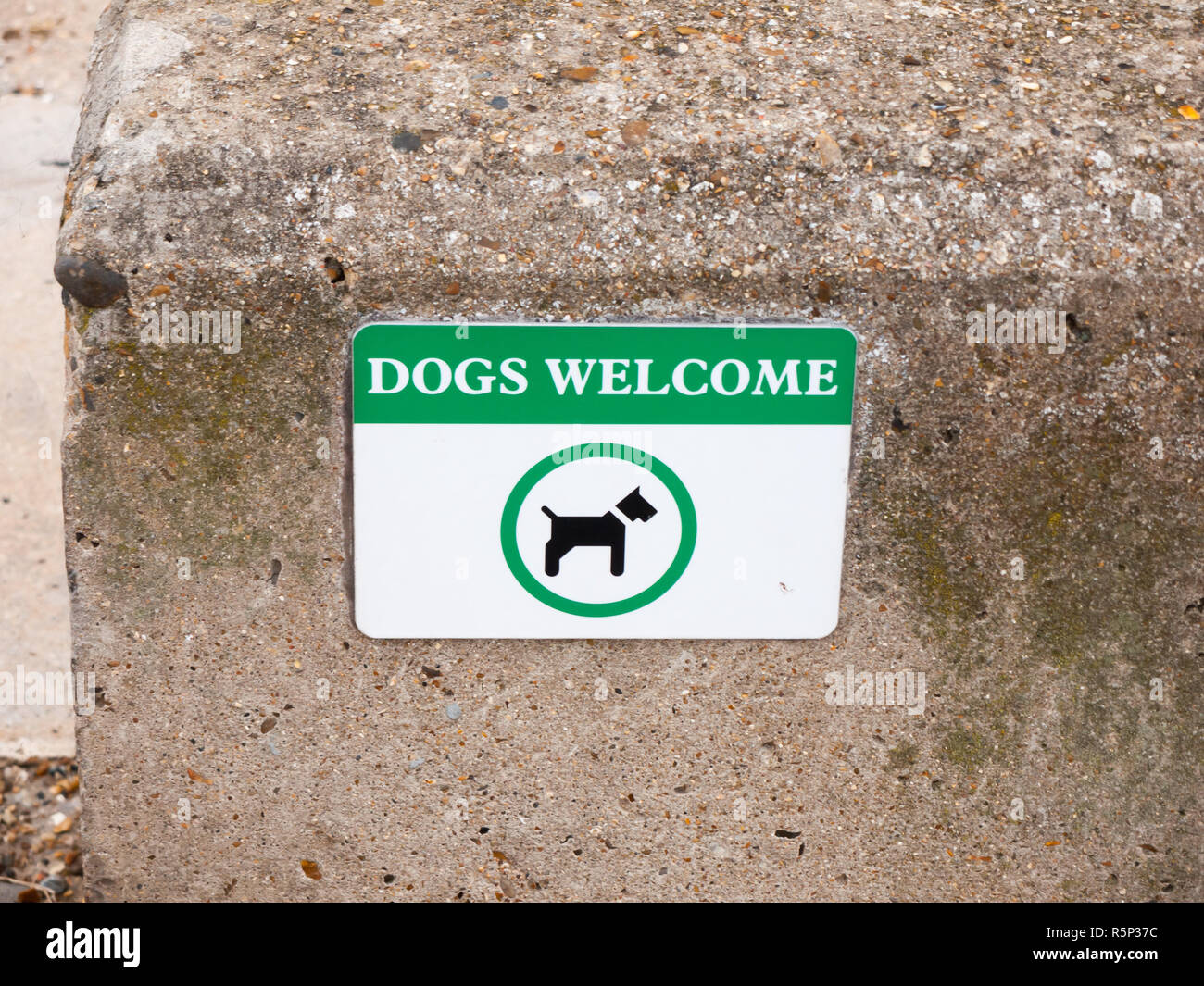 a dogs welcome sign on beach front wall Stock Photo - Alamy