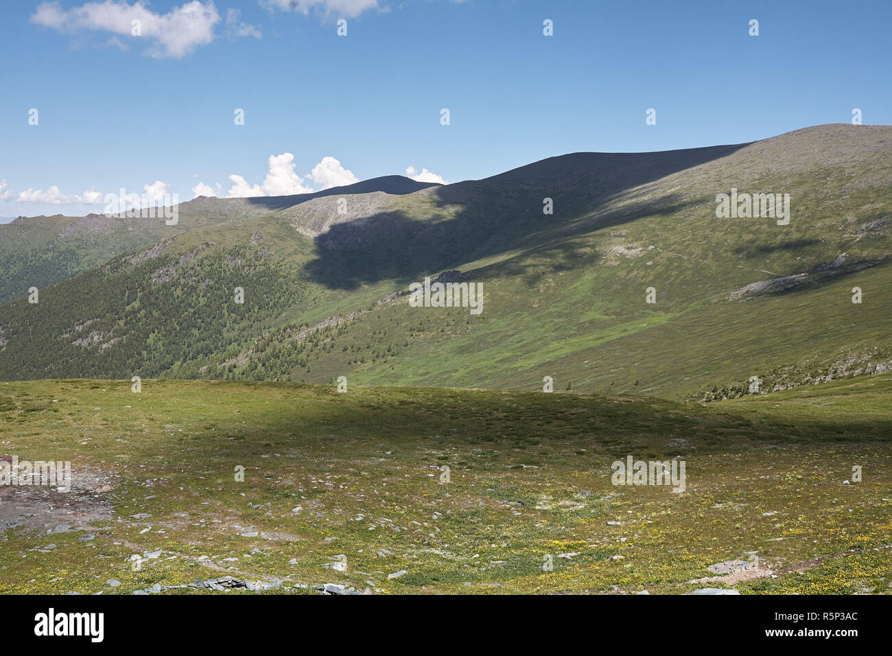 Derive our name hi-res stock photography and images - Alamy