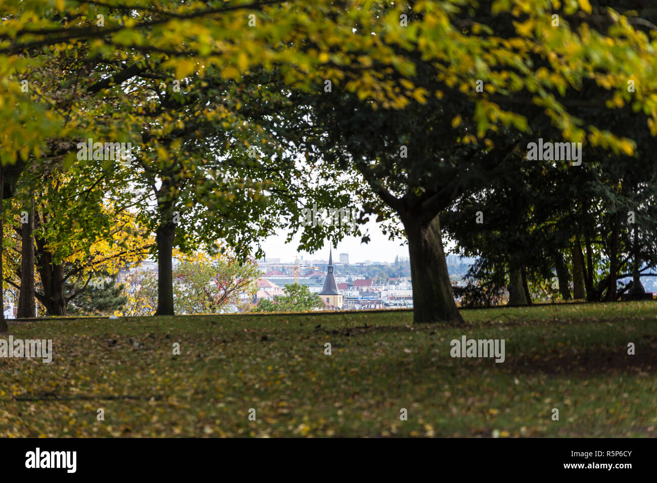 Autumn scene in the hills of Letna garden in Prague Stock Photo - Alamy