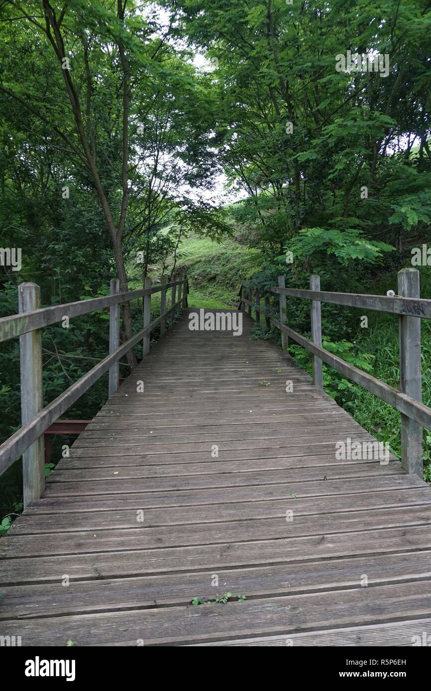 Forest bridge background wallpaper hi-res stock photography and images ...