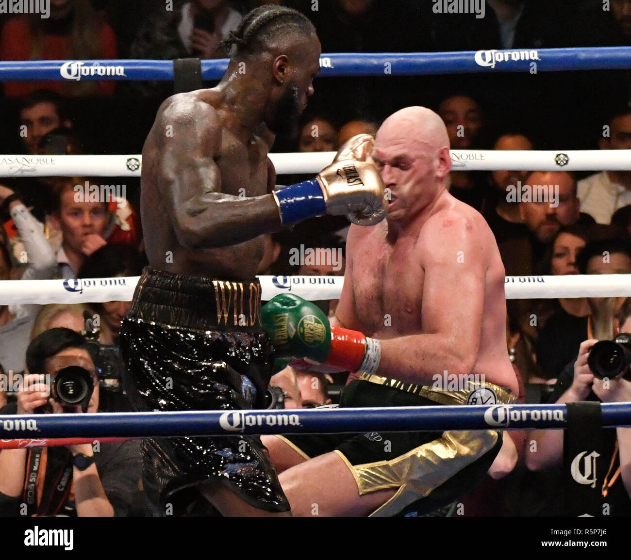 Wilder fury draw hi-res stock photography and images - Alamy