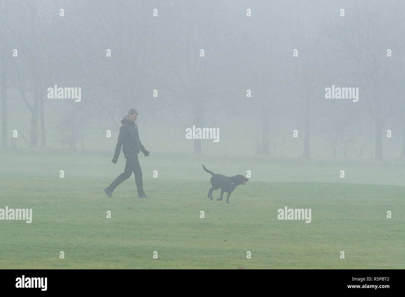 Kings park stirling hi-res stock photography and images - Alamy