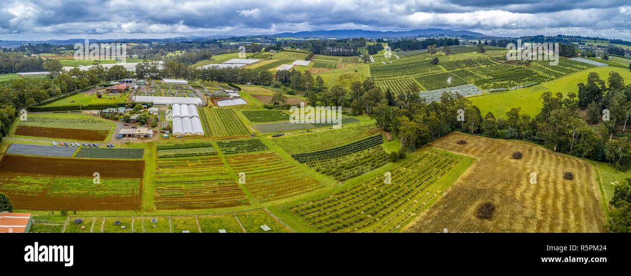 Aerial panorama of cherry farms in Melbourne, Australia Stock Photo - Alamy