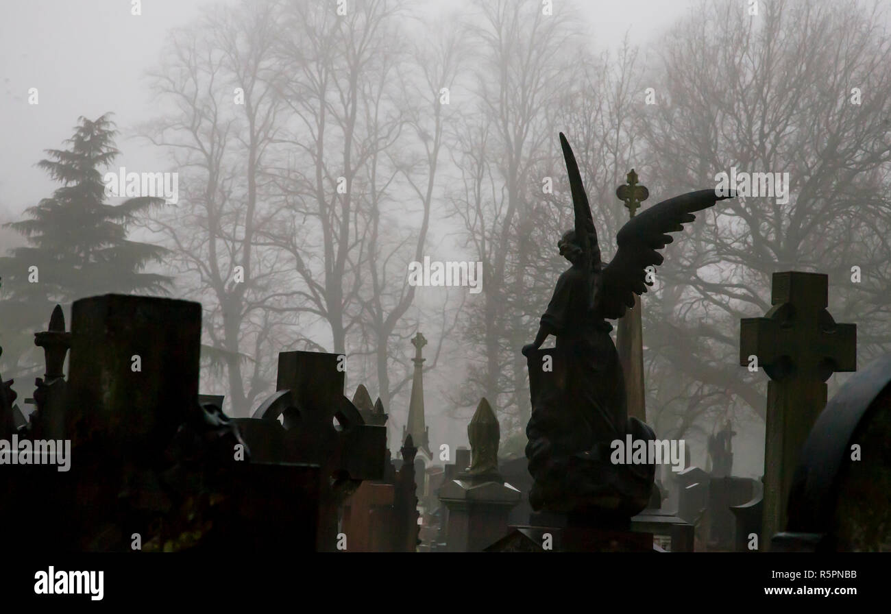 statues of angels and crosses in a very misty and mysterious graveyard ...