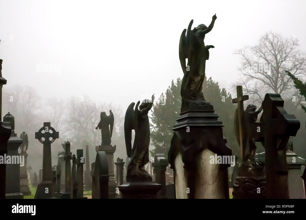 statues of angels and crosses in a very misty and mysterious graveyard ...