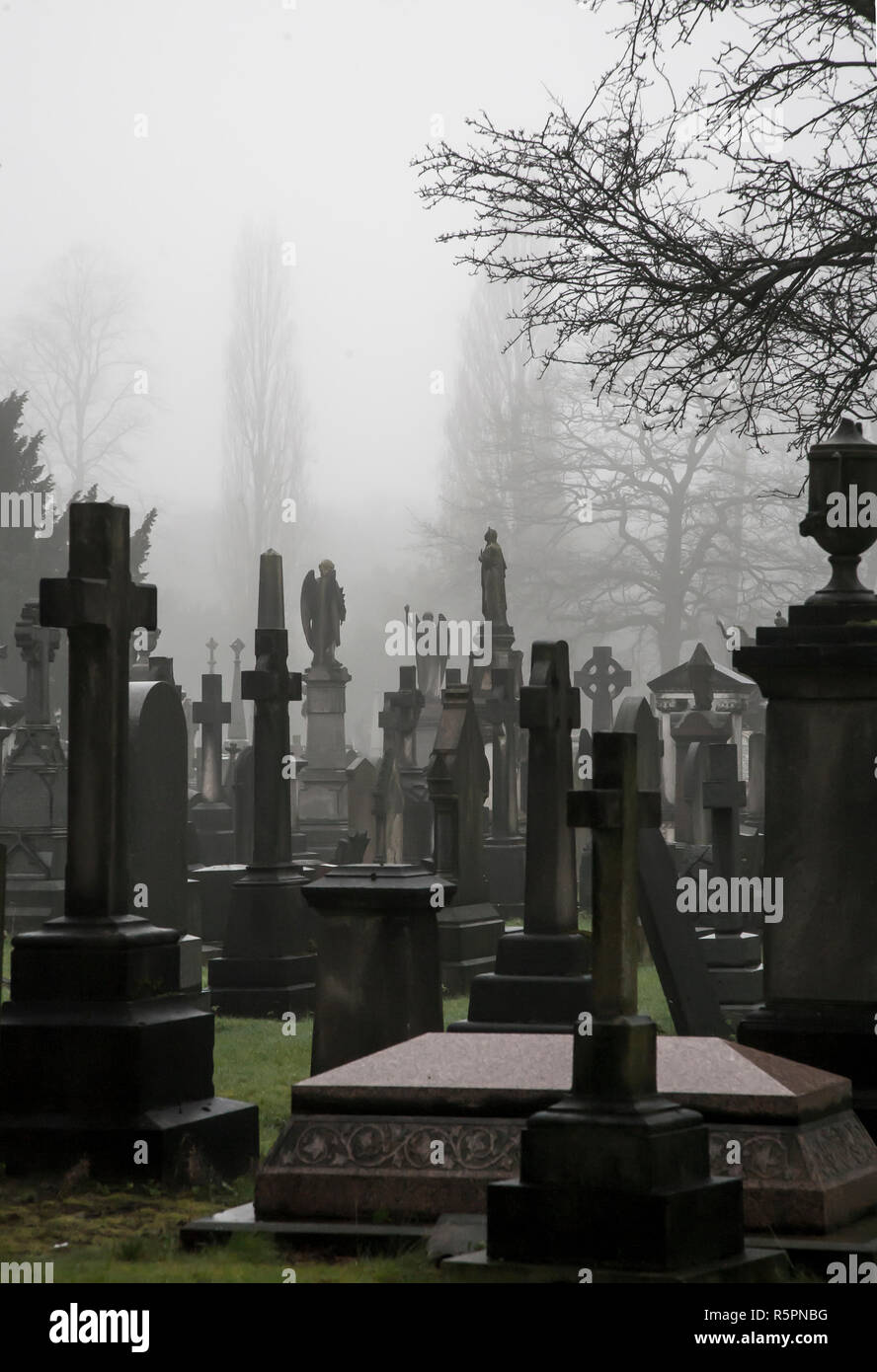 statues of angels and crosses in a very misty and mysterious graveyard ...