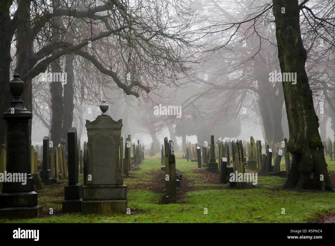 misty cemetary with headstones stretching into the distance Stock Photo ...