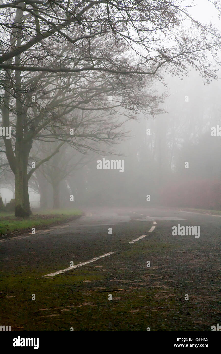 a very misty foggy atmospheric road leading into the unknown Stock ...