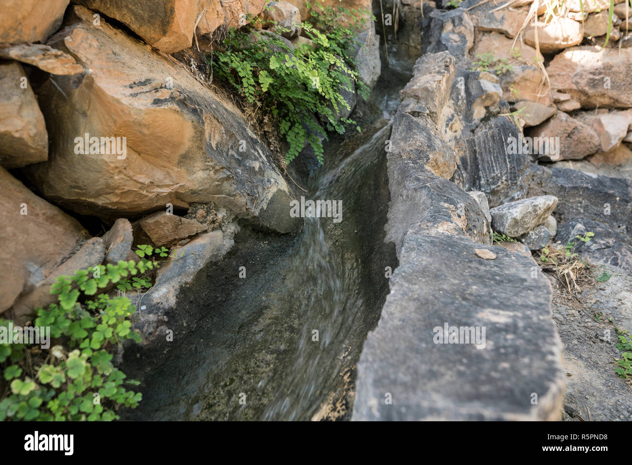 Traditional falaj irrigation system in the mountain village of Misfat ...