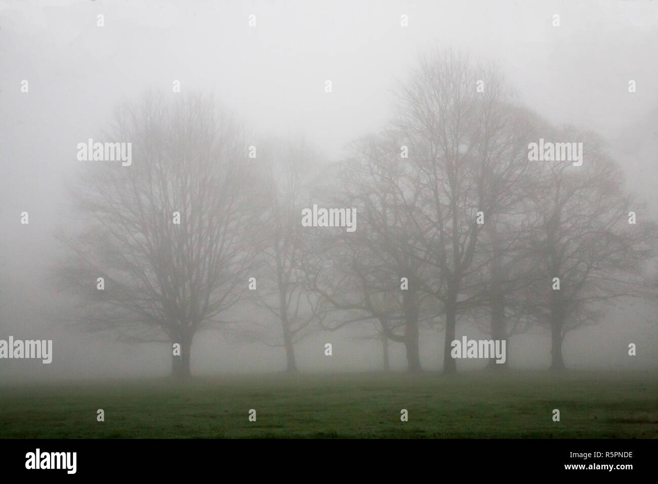 Pea Soup Fog High Resolution Stock Photography and Images - Alamy